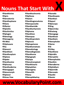 Nouns That Start With X - Vocabulary Point