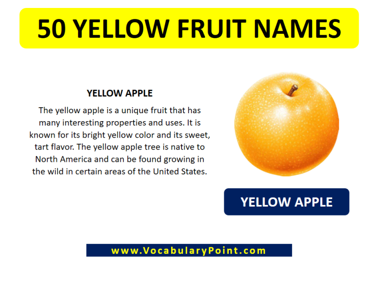 50 Yellow Fruit Names (List of Yellow Fruits) - Vocabulary Point