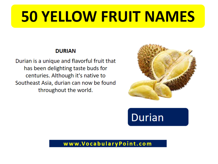50 Yellow Fruit Names (List of Yellow Fruits) - Vocabulary Point