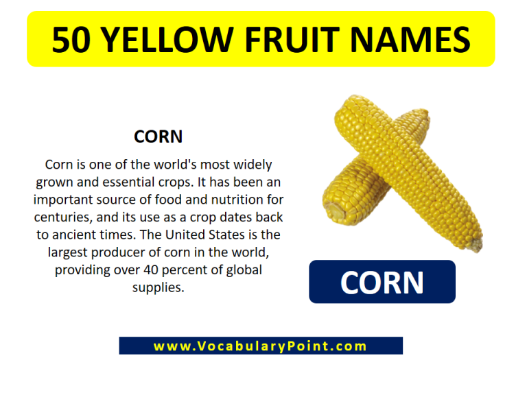 50 Yellow Fruit Names (List of Yellow Fruits) - Vocabulary Point