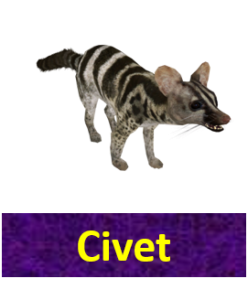 List of Carnivorous Animals With Their Facts - Vocabulary Point