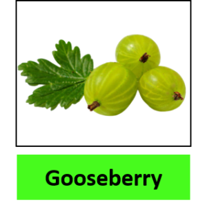 Green Fruits Names - Vocabulary Point