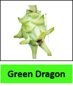 Green Fruits Names - Vocabulary Point