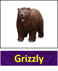 List of Carnivorous Animals With Their Facts - Vocabulary Point