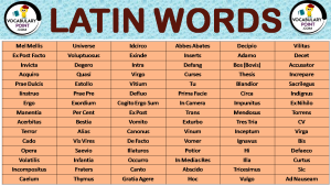 List Of Latin Words - Vocabulary Point