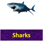 List of Carnivorous Animals With Their Facts - Vocabulary Point