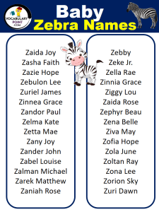 400+ Best Zebra Names in English - Vocabulary Point