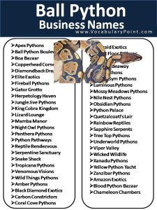 250+ Cool Ball Python Names - Vocabulary Point