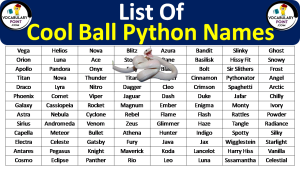 250+ Cool Ball Python Names - Vocabulary Point