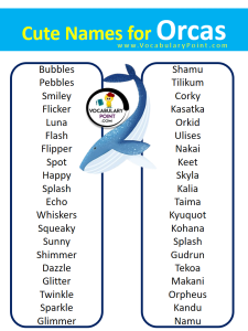 1000+ Best Whale Names (Blue, Famous & Killer) - Vocabulary Point