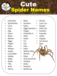 800+ Spider Names (Cute, Funny & Cool) - Vocabulary Point
