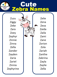 400+ Best Zebra Names in English - Vocabulary Point