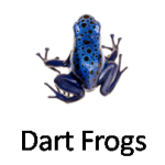 Best Things That Are Blue In Nature - Vocabulary Point