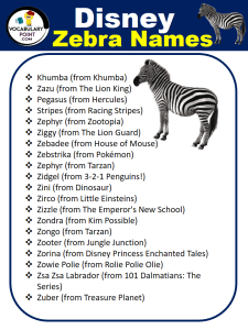 400+ Best Zebra Names in English - Vocabulary Point
