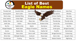 300+ Best Eagle Names | Famous Eagle Names - Vocabulary Point