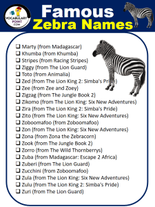 400+ Best Zebra Names in English - Vocabulary Point