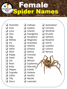 800+ Spider Names (Cute, Funny & Cool) - Vocabulary Point