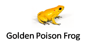 500+ Best Things That Are Yellow - Vocabulary Point