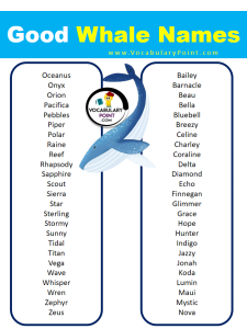 1000+ Best Whale Names (Blue, Famous & Killer) - Vocabulary Point