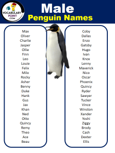 400+ Most Famous Penguin Names - Vocabulary Point