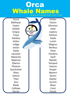 1000+ Best Whale Names (Blue, Famous & Killer) - Vocabulary Point