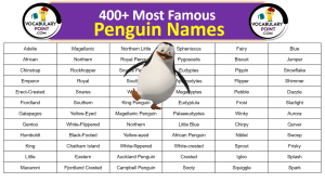 400+ Most Famous Penguin Names - Vocabulary Point