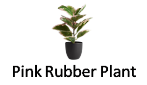 450+ Amazing Things That Are Pink - Vocabulary Point