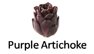 Naturally Purple Things | Things That are Purple - Vocabulary Point