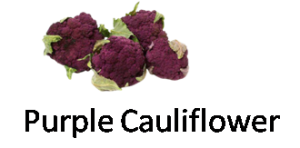 Naturally Purple Things | Things That are Purple - Vocabulary Point