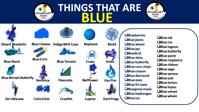 Best Things That Are Blue In Nature - Vocabulary Point
