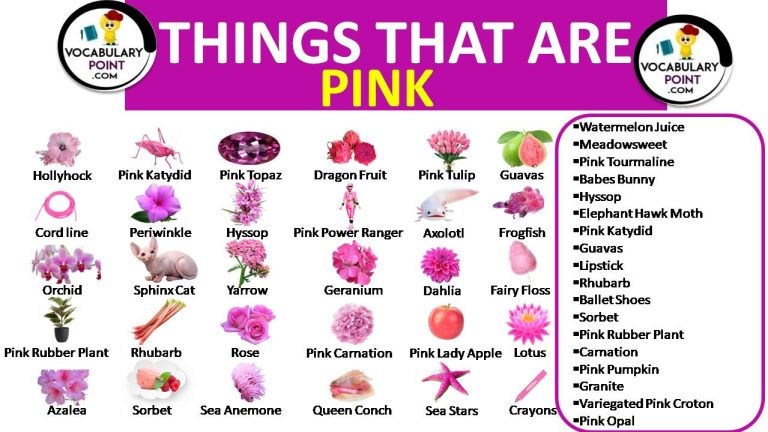 450+ Amazing Things That Are Pink - Vocabulary Point