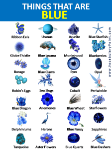 Best Things That Are Blue In Nature - Vocabulary Point