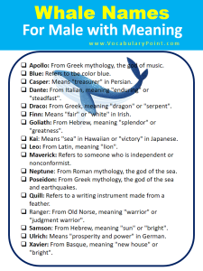 1000+ Best Whale Names (Blue, Famous & Killer) - Vocabulary Point