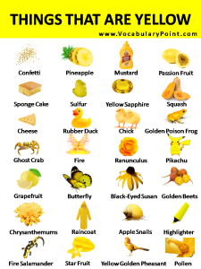 500+ Best Things That Are Yellow - Vocabulary Point
