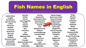 Fish Names Archives - Vocabulary Point