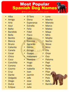 600+ Best Spanish Dog Names - Vocabulary Point