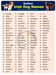 270+ Famous Irish Dog Names For Your New Puppy - Vocabulary Point