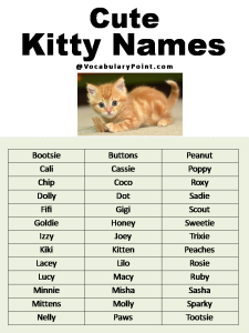 Most Popular Cute Cat Names - Vocabulary Point