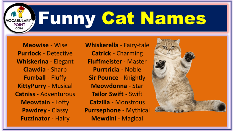 270 Funny And Cute Cat Names Vocabulary Point