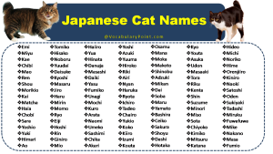 Japanese Cat Names (Funny, Cute and Kitten) - Vocabulary Point
