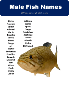 Best Fish Name Ideas (Sea and American Fish Names) - Vocabulary Point