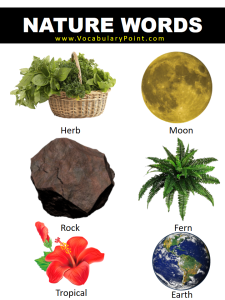 Most Beautiful Nature Vocabulary Words - Vocabulary Point