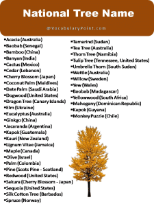 List of Tree Names - Vocabulary Point