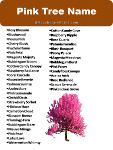 List of Tree Names - Vocabulary Point