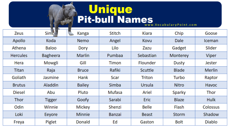 Best Unique Pitbull Names - Vocabulary Point