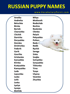 Most Popular Russian Dog Names - Vocabulary Point