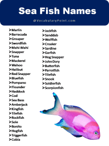 Best Fish Name Ideas (Sea and American Fish Names) - Vocabulary Point