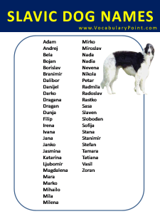 Most Popular Russian Dog Names - Vocabulary Point