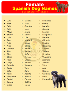 600+ Best Spanish Dog Names - Vocabulary Point