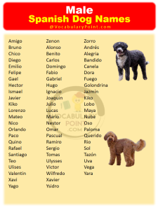 600+ Best Spanish Dog Names - Vocabulary Point